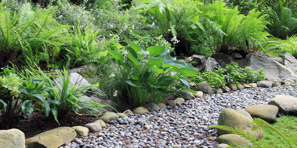 How to Add Texture to Your Landscape - Stephens Landscaping Professionals